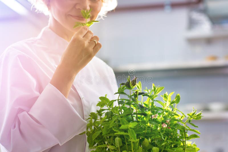 252 Mint Smelling Stock Photos - Free & Royalty-Free Stock Photos from ...