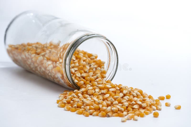 Closeup of Corn Kernel in a Jar Under the Lights Isolated on a White ...