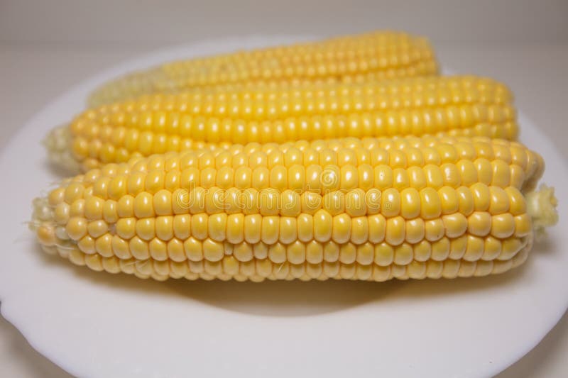 Closeup of Corn Kernels on Plate Isolated Stock Image - Image of ...