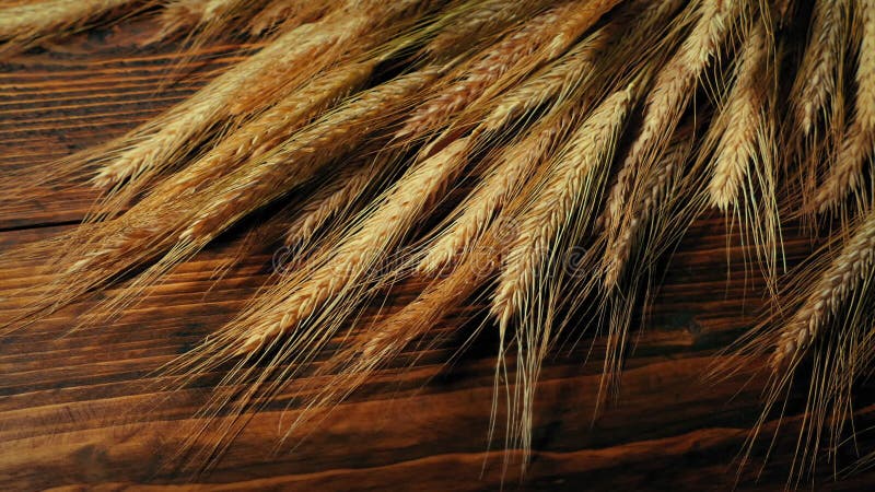 Corn Sheaf on Table Closeup Stock Video - Video of barn, symbolic ...