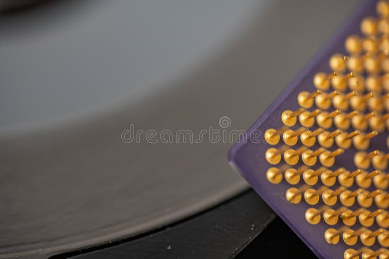 Closeup of CPU Pins, Gold Connectors for Central Processing Unit on ...