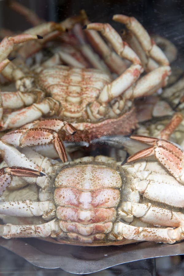 Closeup of Crab stock image. Image of fresh, food, restuarant - 191796471