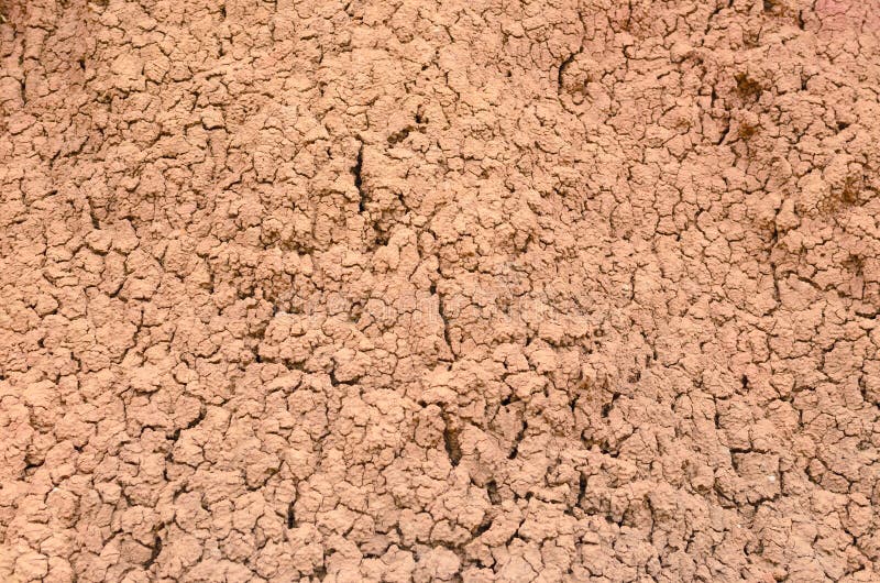 Closeup of Cracked Sandy Terrain - Natural Texture Stock Image - Image ...