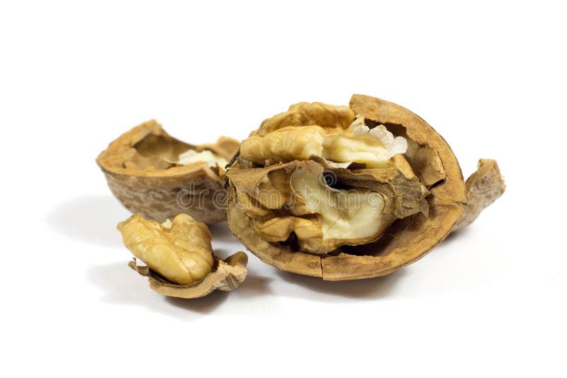 Closeup of a Cracked Walnut Isolated on White Stock Photo - Image of ...