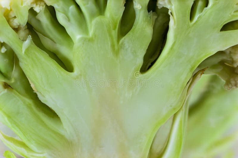 Closeup Cross-section Cut Green Cauliflower Stock Image - Image of ...