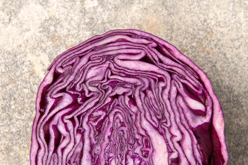 Closeup of Cross Section of a Red Cabbage Stock Photo - Image of ...