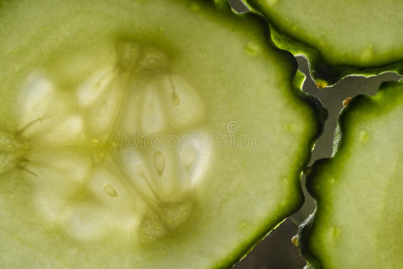 Closeup Cucumber Slice. Transparent Texture of Cucumber Stock Photo ...