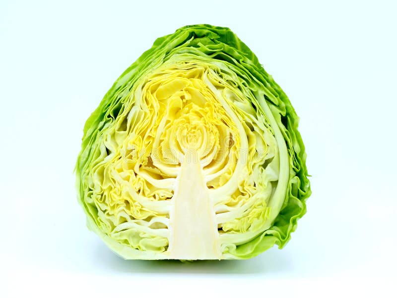 Closeup Cut of Young White Cabbage, Healthy Food Concept Stock Photo ...