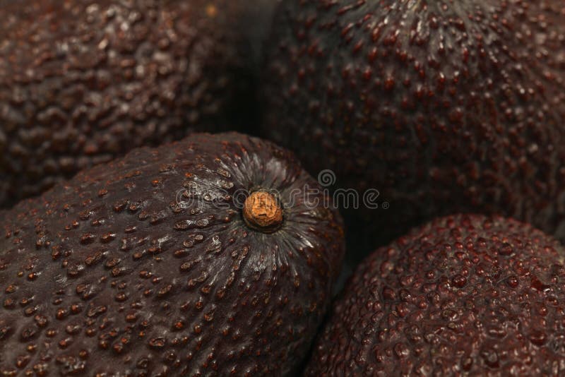 Closeup of Dark Ripe Avocado Skin Stock Image - Image of delicious ...