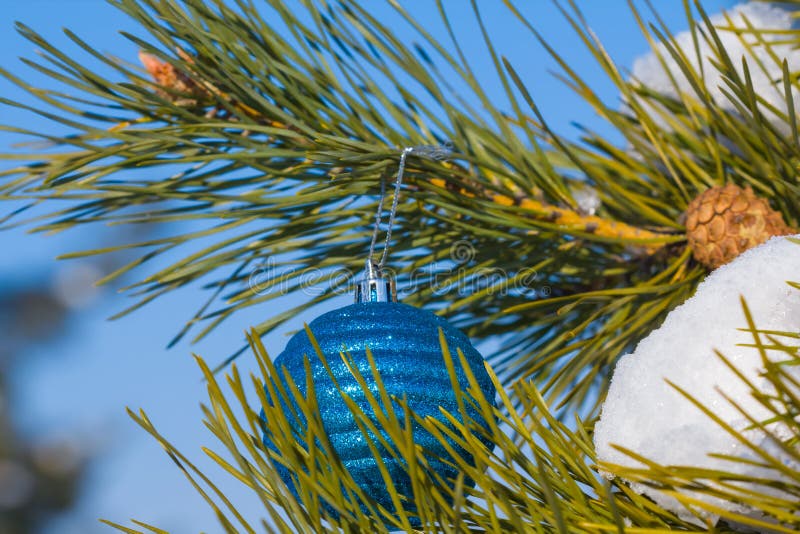 Closeup decorated fir tree stock image. Image of celebrations - 47996291