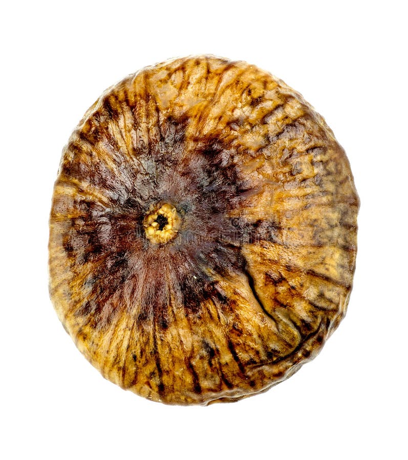 Closeup of Dehydrated Fig on White Stock Photo - Image of ingredient ...