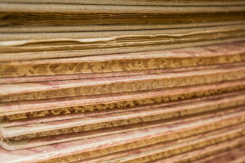 Closeup of a Dense Wood Texture Stock Image - Image of abstract, bark ...