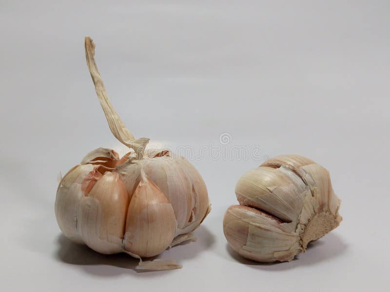 Closeup Detailed Garlic Isolated in White Stock Image - Image of white ...