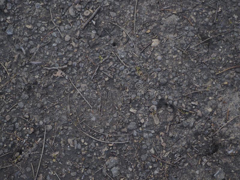 Closeup of Dirty Ground Texture Stock Photo - Image of pebble, wooden ...
