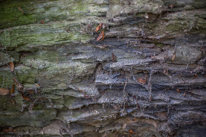 Closeup of a Dirty Stone Wall Stock Photo - Image of grunge, moisture ...