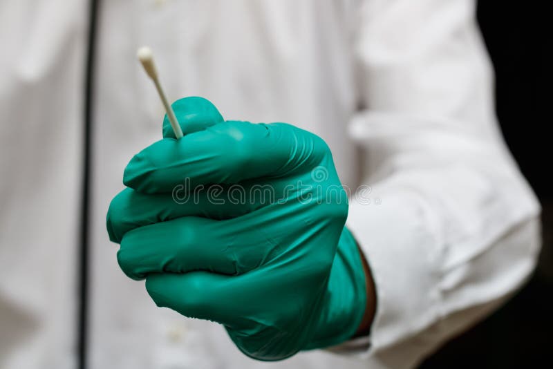 Closeup of a Doctor Holding a Cotton Swab for Testing Stock Photo ...