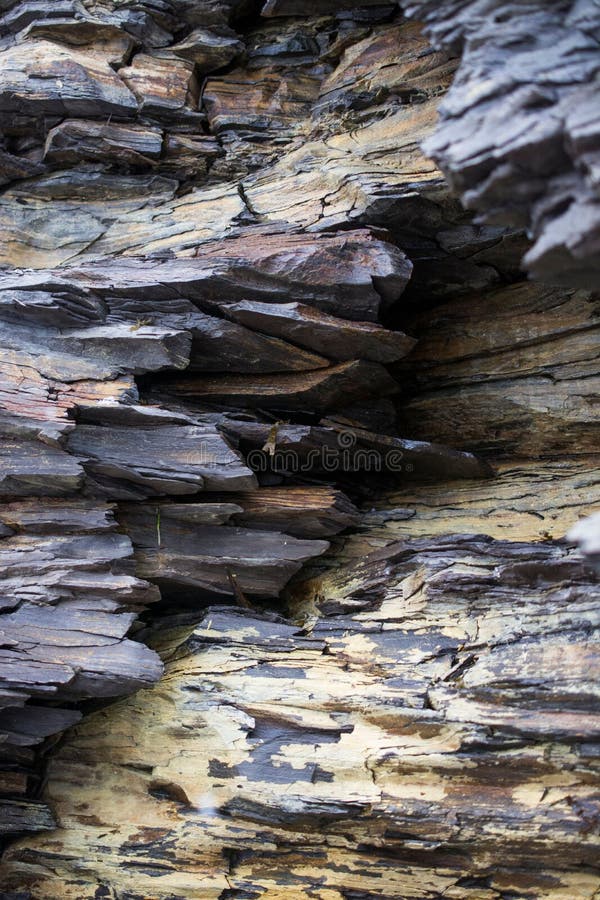 Closeup of dry rock layers stock image. Image of nature - 268429941