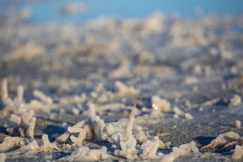 Closeup Dry Saline Land with Crystal of Salt Stock Photo - Image of ...