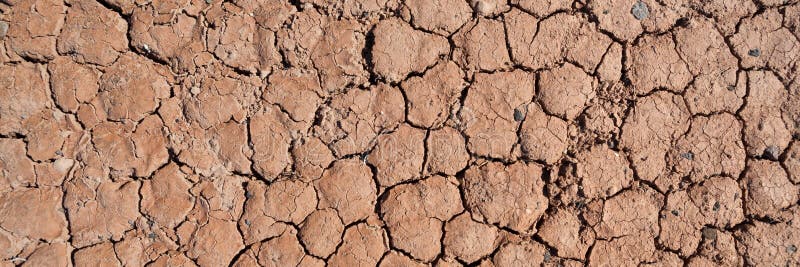 Closeup of Dry Soil Texture Stock Photo - Image of wilderness, nature ...