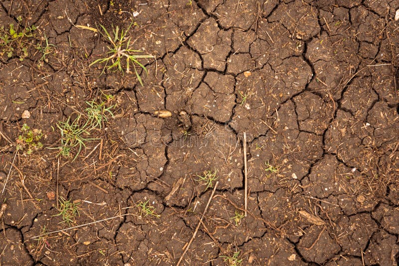 Closeup of Dry Soil Texture Stock Image - Image of drought, desert ...