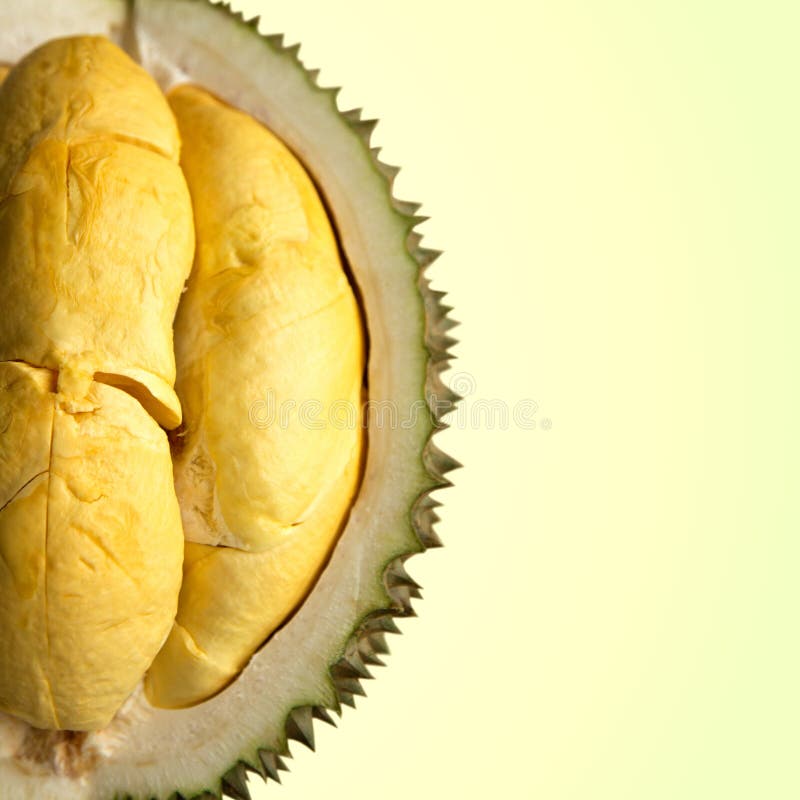 Yellow Durian stock image. Image of nature, closeup, thailand - 33827191