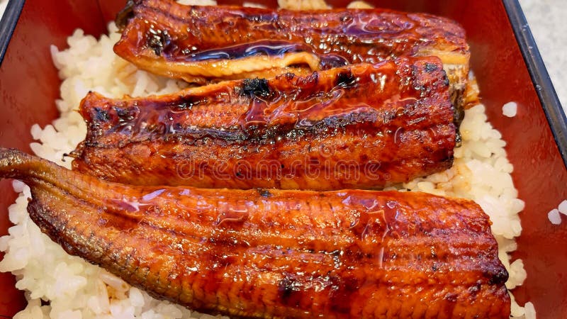 Closeup of Eel rice bowl stock image. Image of cuisine - 211202981