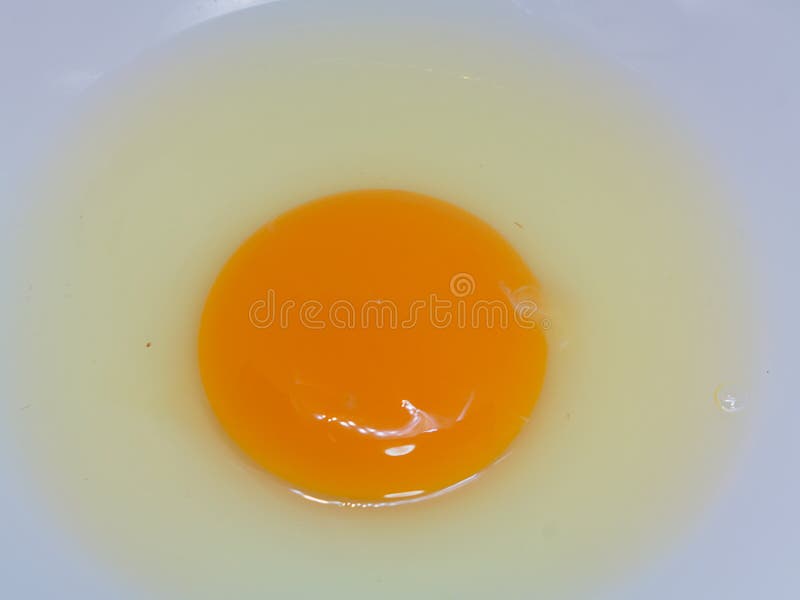 Closeup Egg yolk. stock photo. Image of food, nutrition - 100306580