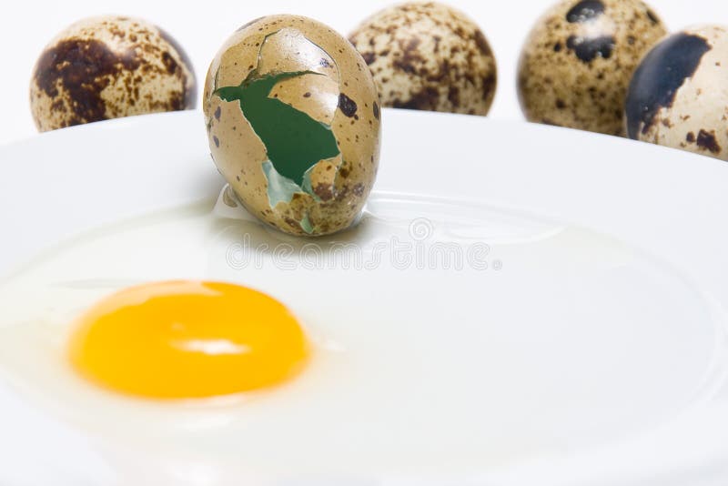 Closeup eggshell stock photo. Image of ingredient, protein - 22121998
