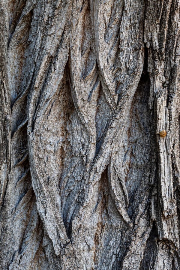 310 Moss Overlay Photos - Free & Royalty-Free Stock Photos from Dreamstime