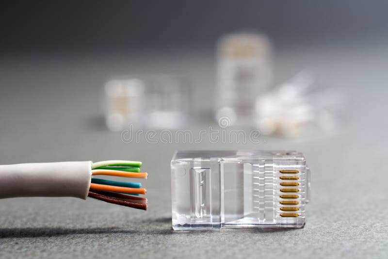 Closeup of Ethernet Cable Plug Connector Stock Photo - Image of ...