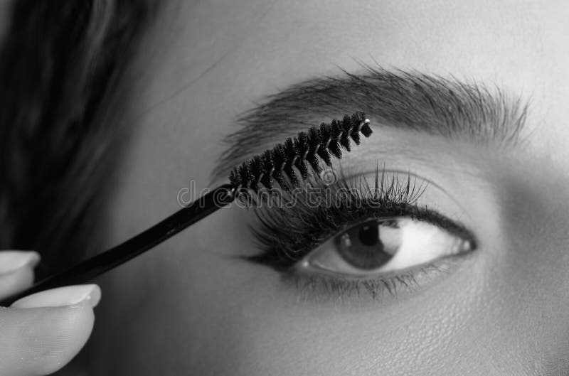 Closeup Eyebrows with Eyebrow Brush. Close Up Brows, Eyebrows ...
