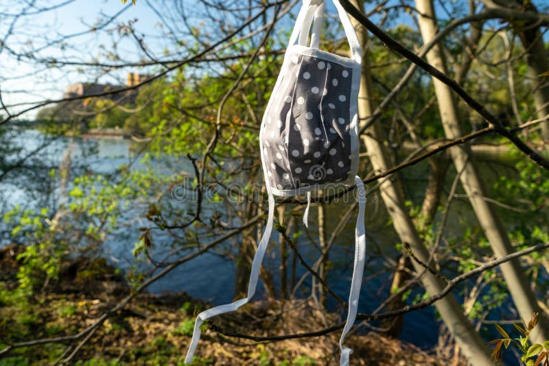 Closeup of a Face Mask Hanging from a Tree Stock Photo - Image of covid ...