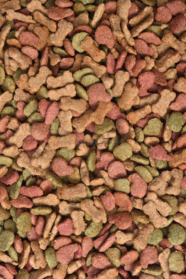 Closeup of feed of dog stock photo. Image of feed, group - 127365656