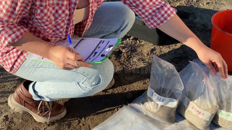 Closeup Female Agronomist Preparing Soil Sample Bags, Writing in Form ...