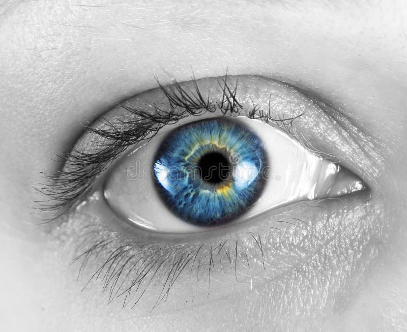 Closeup of the female eye stock photo. Image of eyelash - 69212164