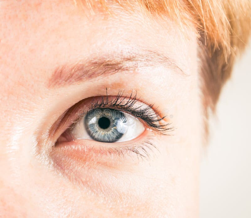 Closeup of female eye stock image. Image of look, color - 73454033