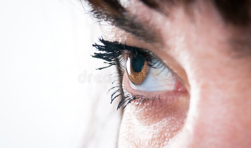 Closeup of female eyes stock photo. Image of clean, eyesight - 164575838