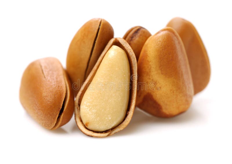 Closeup few pine nut stock image. Image of healthy, path - 114278945