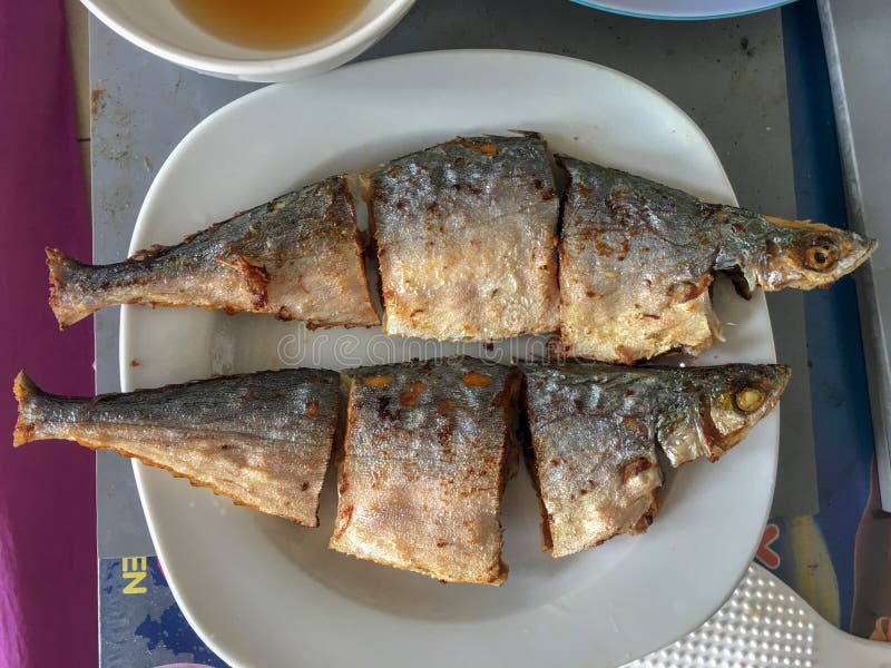 Closeup of Fired Sea Fish in the Restaurant Stock Photo - Image of ...