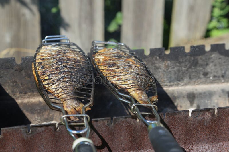 Closeup of Fish on Nets on an Outdoor Grill Under the Sunlight Stock ...