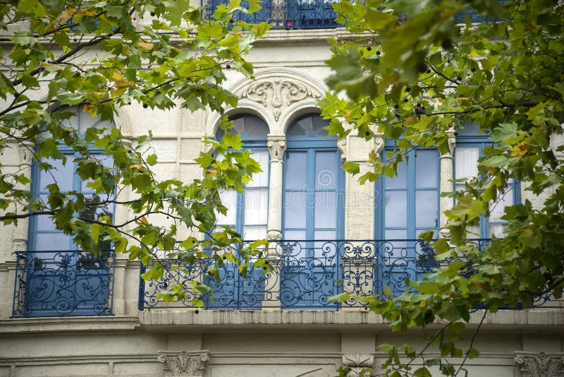 Foliage of Tree on Ancient Building Facade on Background Stock Photo ...
