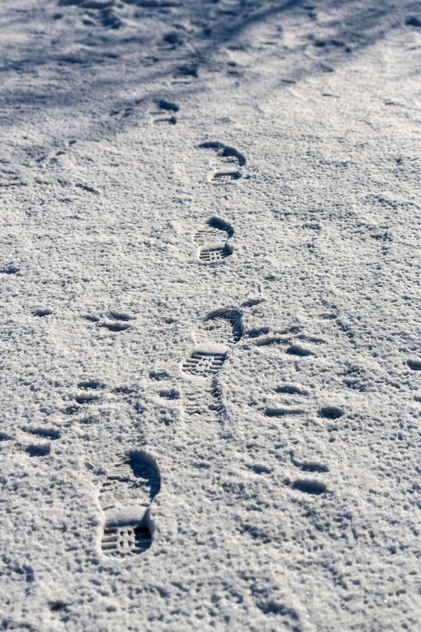 Closeup of Footsteps in Snow Going Forward. Exploring, Adventure ...