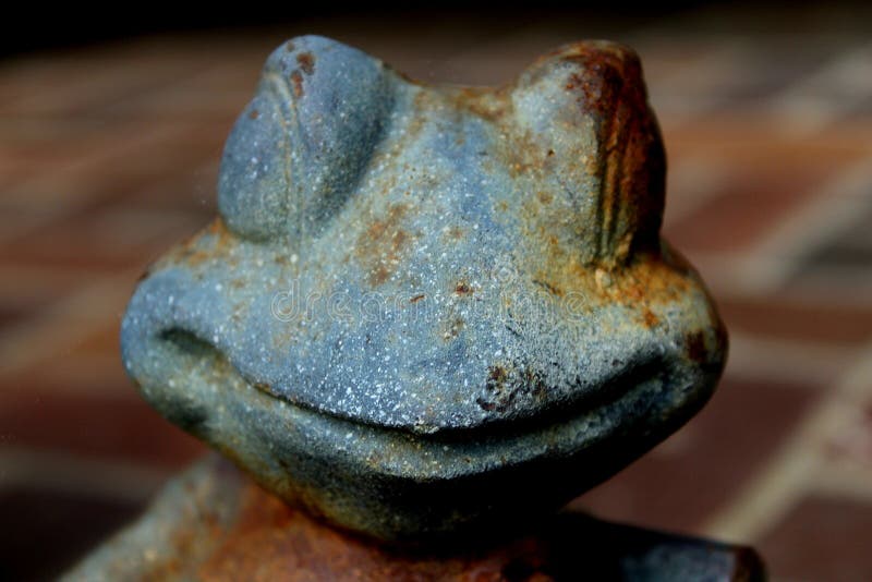 Closeup Freddy Frog ðŸ ¸ stock image. Image of freddy - 247674953