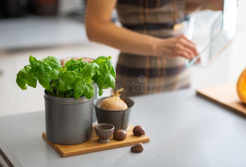 Closeup on Fresh Basil on Table Stock Photo - Image of natural, autumn ...