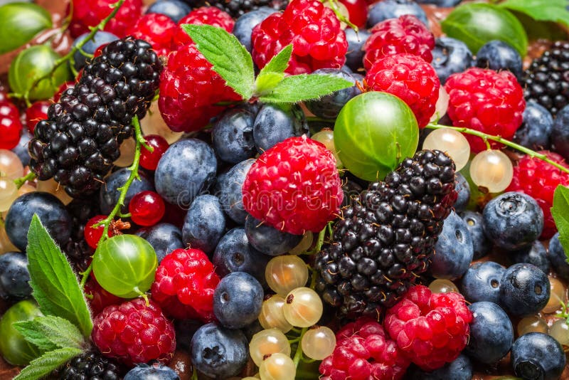 Closeup of Fresh Berry Fruits Stock Photo - Image of dessert, homemade ...