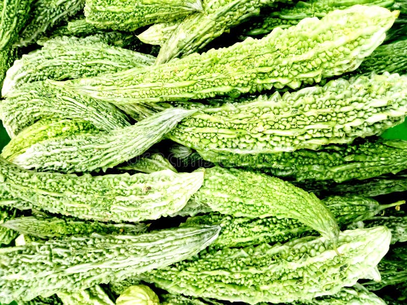 Bitter Gourd Healthy And Medicinal Vegetable Food Stock Photo - Image ...