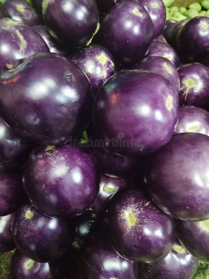 Closeup of fresh brinjal stock photo. Image of fresh - 144589938