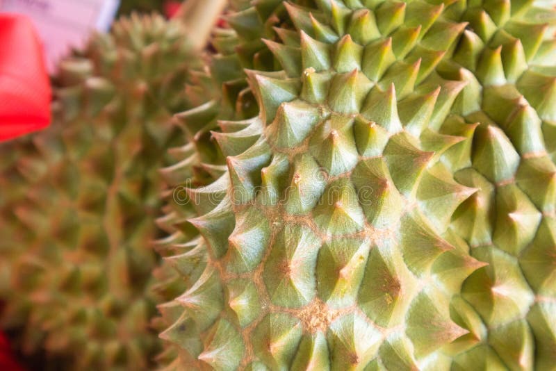 Fresh Durian Texture at Thailand Stock Image - Image of seasonal ...