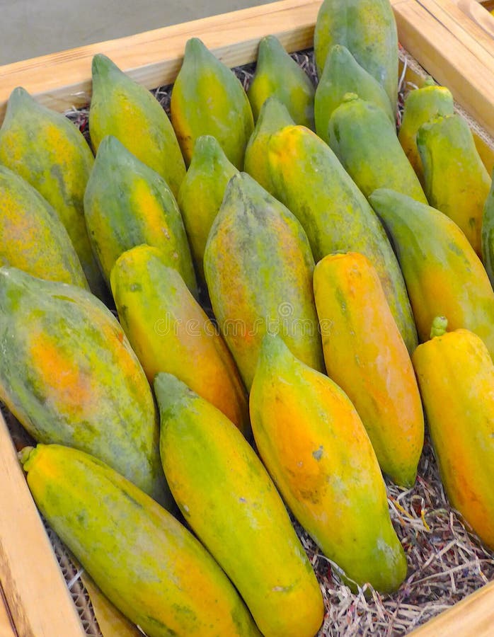 Closeup of Fresh Organic Papayas Stock Photo - Image of crisp, taiwan ...