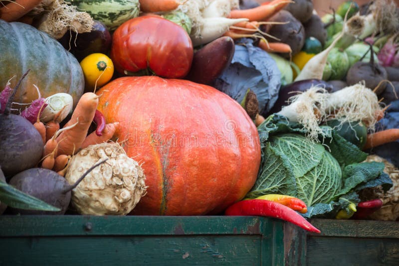 Fresh Organic Vegetables Assortment at the Market Stock Image - Image ...